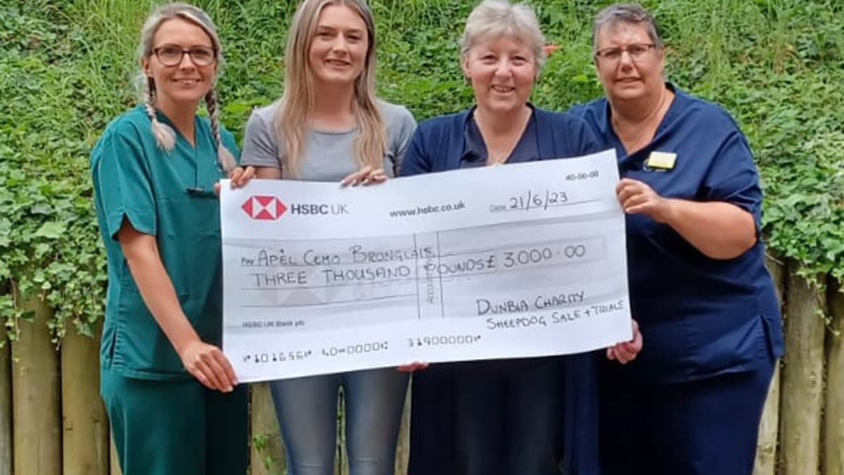 Talsarn Sheepdog Trials raise £6,000 for Noah's Ark and Bronglais Chemo ...