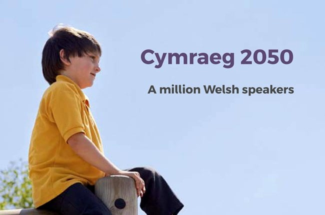 Doubts raised over one million Welsh speakers target | cambrian-news.co.uk