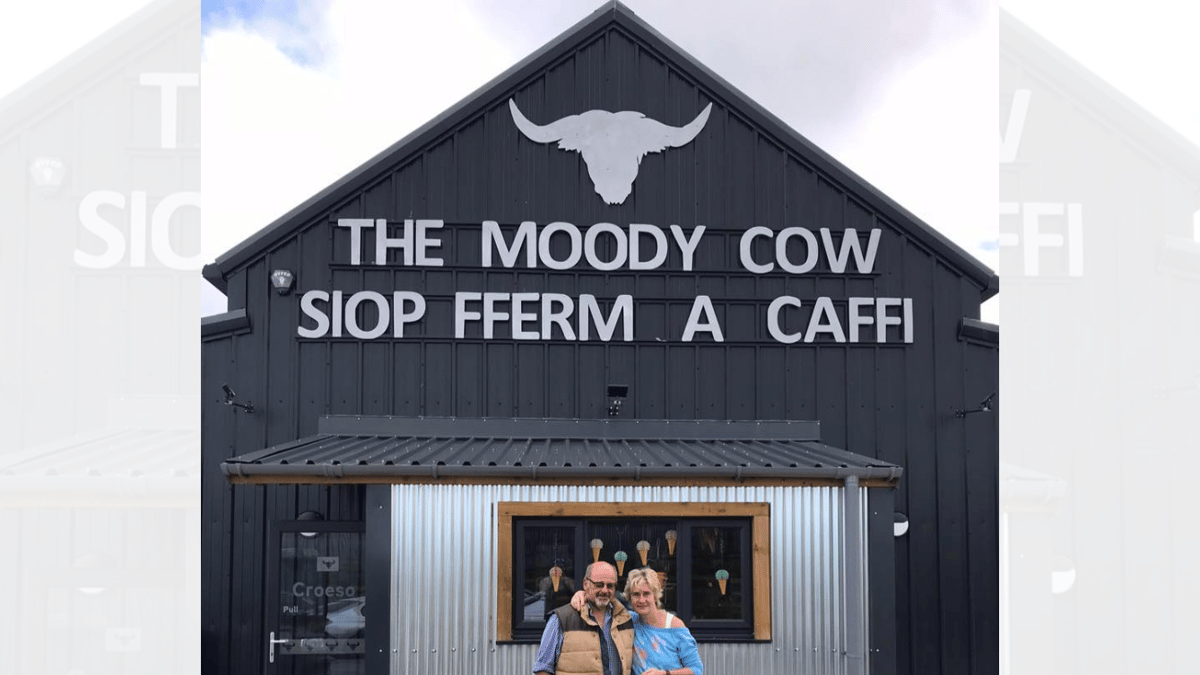 Moody Cow wins Welsh Restaurant of the Year Award | cambrian-news.co.uk