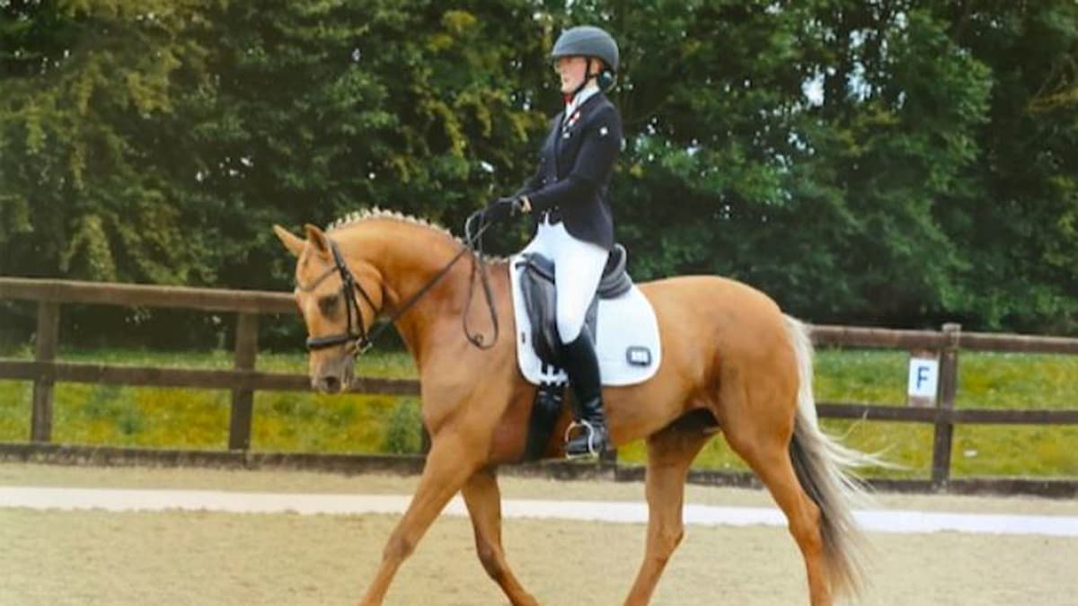Dressage rider Amy and Perdy ‘honoured’ to represent Wales | cambrian ...