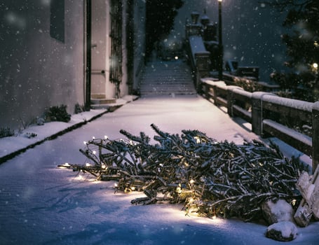 Most common Christmas disasters revealed | cambrian-news.co.uk