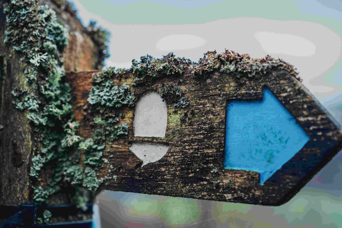 Hwyl yr ŵyl yn yr awyr agored | cambrian-news.co.uk