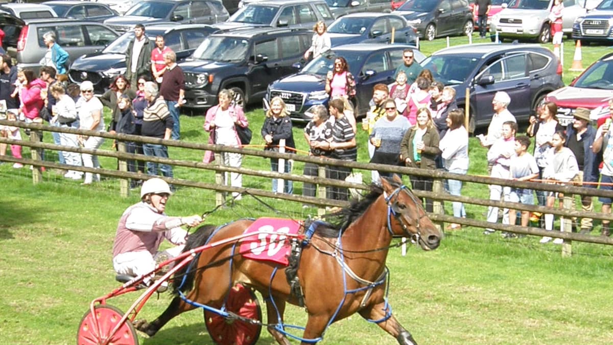 Wales & Border Counties Harness Racing end-of-season review | cambrian ...