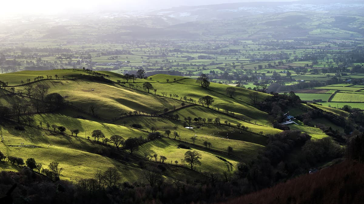 Have your say on sustainable farming consultation | cambrian-news.co.uk