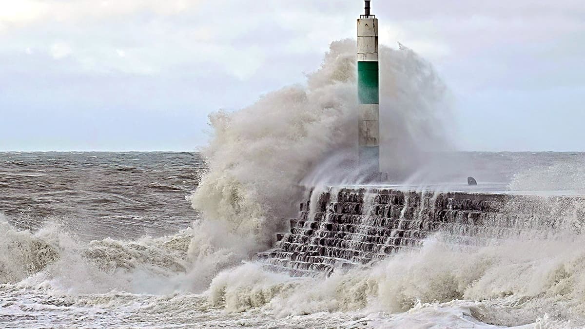 Cambrian News readers' fantastic photos of life in Ceredigion, Powys ...