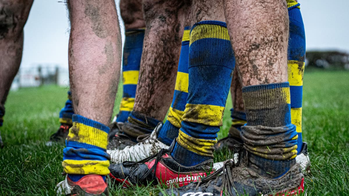 Dominant Aberaeron seal bonus point victory at St Davids | cambrian ...