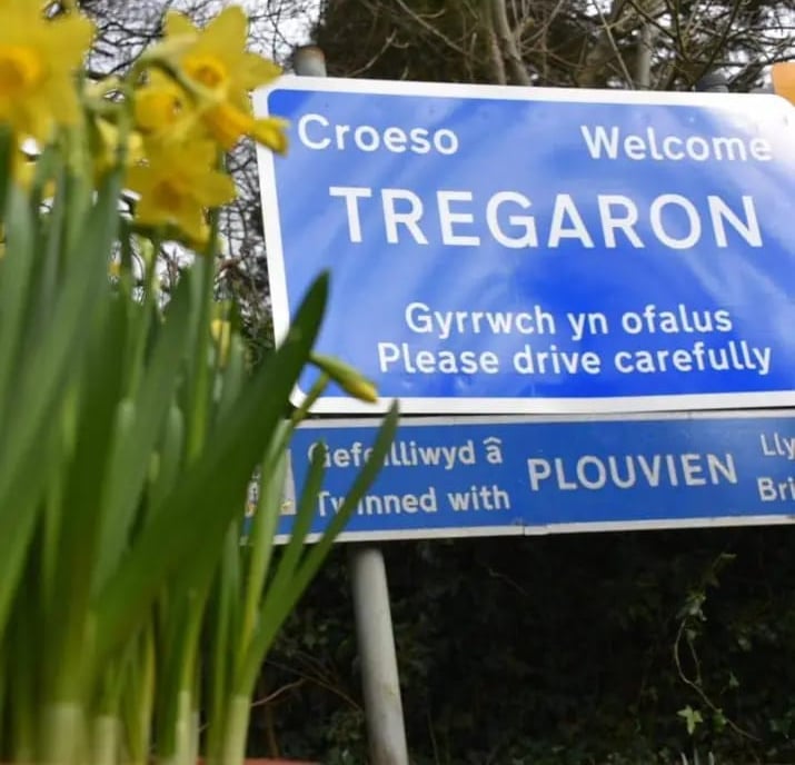 Tregaron launches award to recognise voluntary work in the community ...