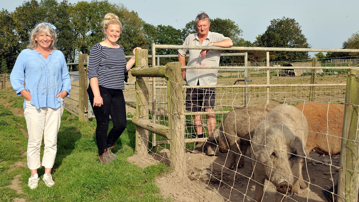 Young entrant helps Teifi pig farmers solve succession dilemma ...