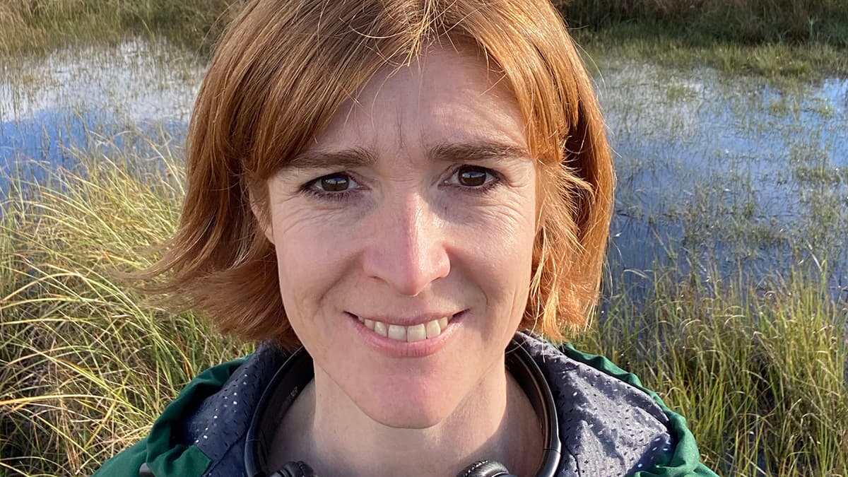 Gwynedd artists chosen for Future Wales Fellowship project | cambrian ...