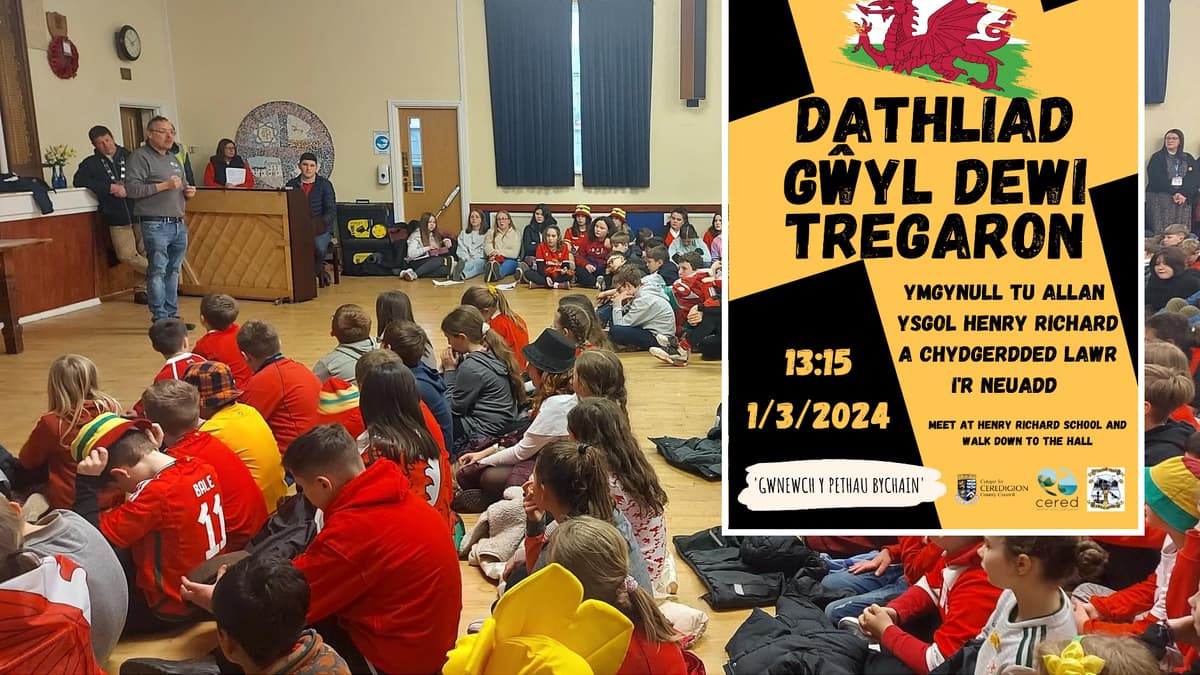 Tregaron to host Friday parade to celebrate St David's Day | cambrian ...