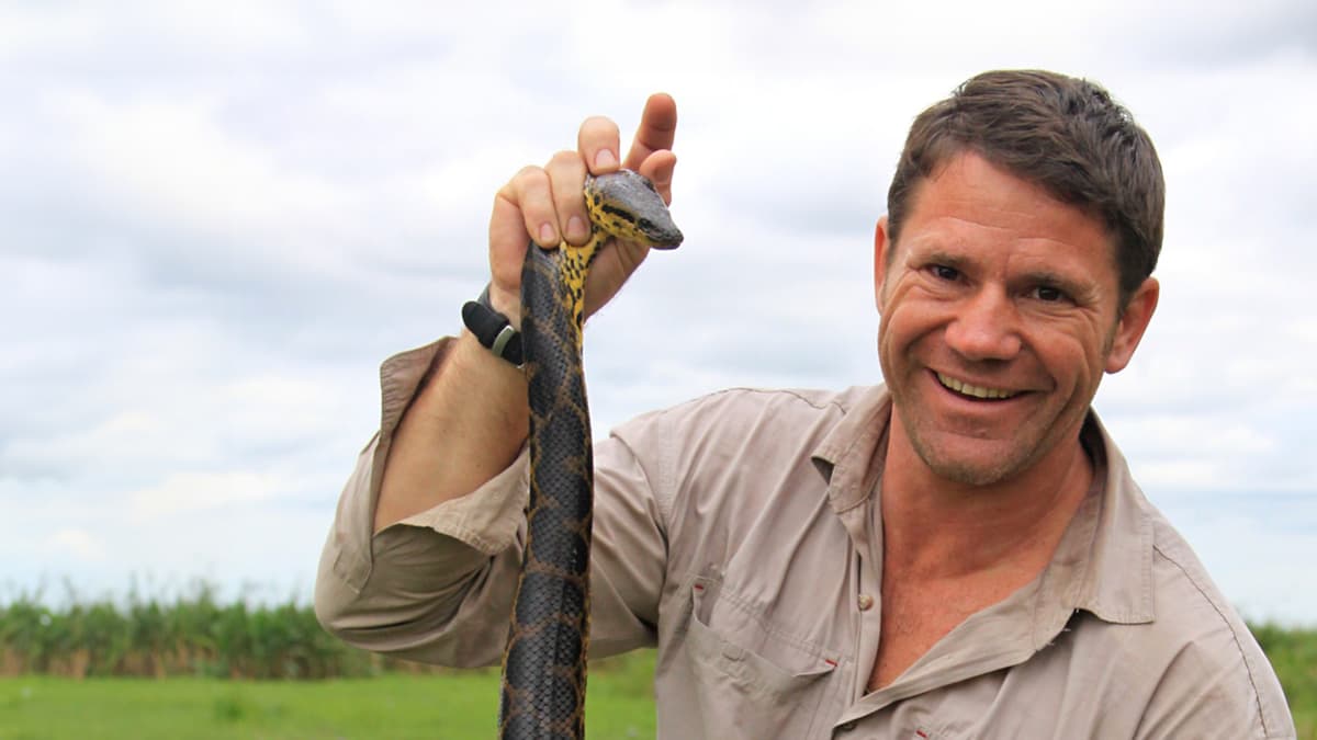 steve backshall snakes