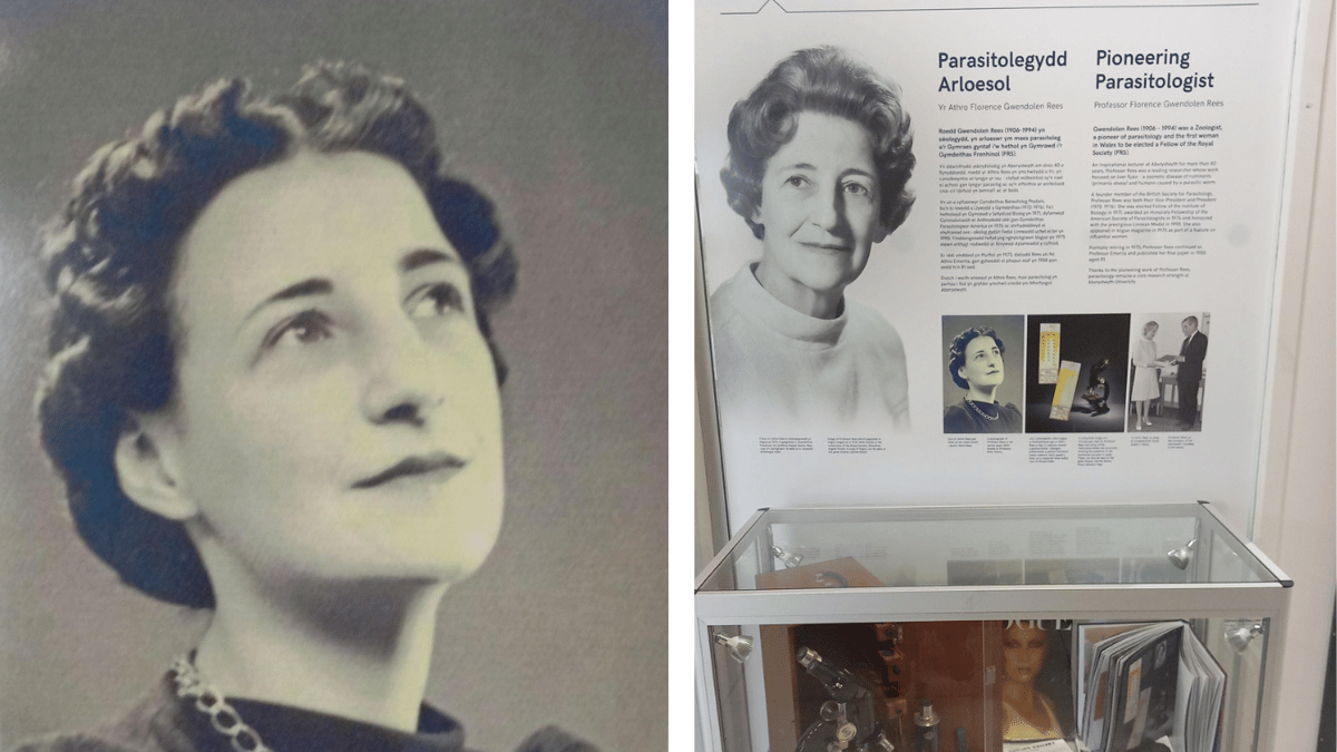 Pioneering professor remembered a year after renaming of building ...