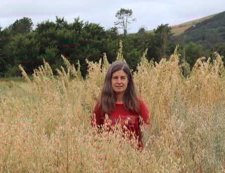 Aberystwyth University research could produce healthier white bread ...