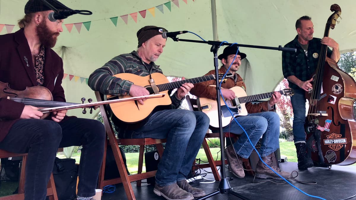 Open mics and music nights at Mwldan | cambrian-news.co.uk