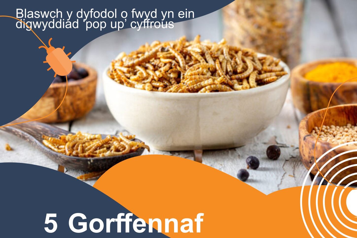 Grubs up: Join a four-course insect-based dining experience at Dyfi ...