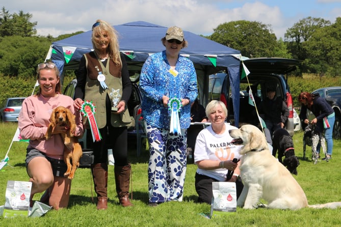 Aberystwyth Show dog section winners revealed | cambrian-news.co.uk
