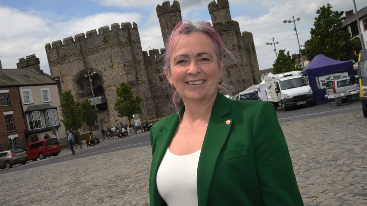 Meet Dwyfor Meirionnydd's seven election candidates | cambrian-news.co.uk