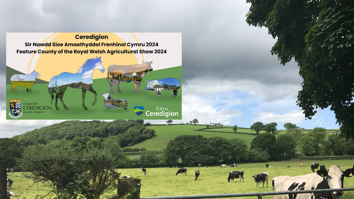 Ceredigion proud to be the Royal Welsh host county in 2024 | cambrian ...
