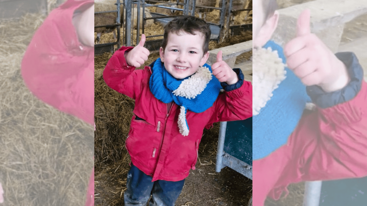 Tregaron boy died pushing vintage garden roller | cambrian-news.co.uk