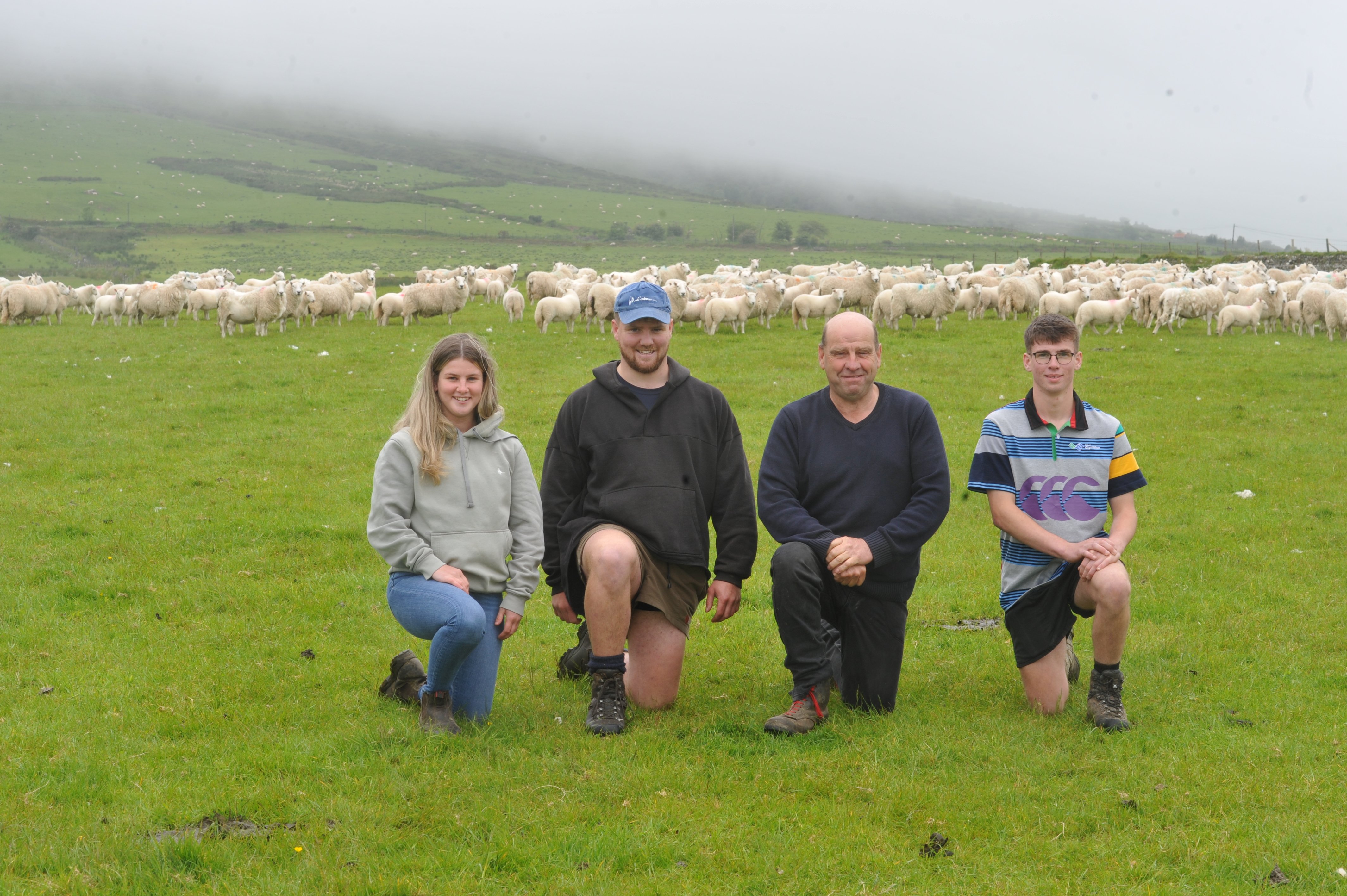 Genetic programme helps boost lambing | cambrian-news.co.uk