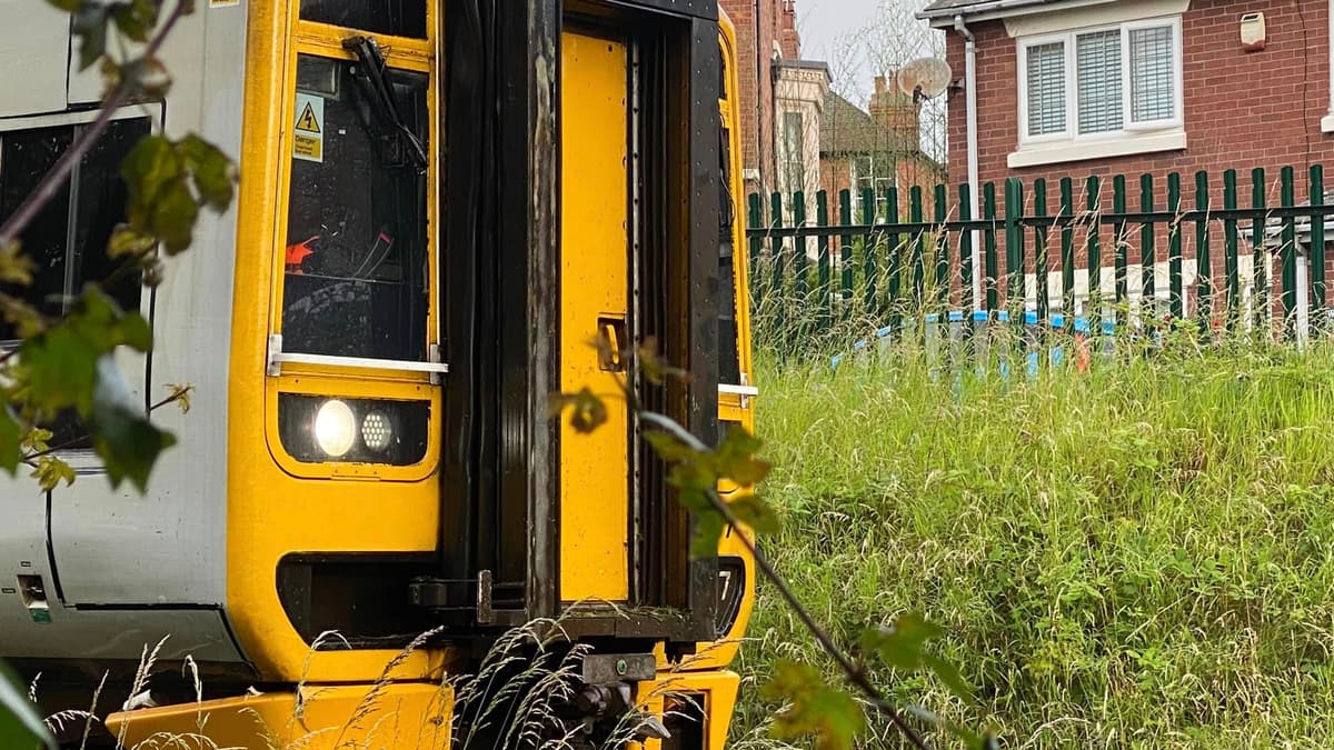 Fallen tree damages Aberystwyth train | cambrian-news.co.uk