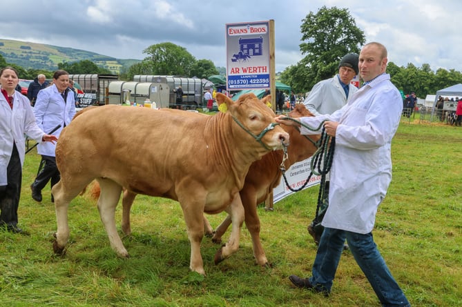 In pictures: Lampeter Show | cambrian-news.co.uk
