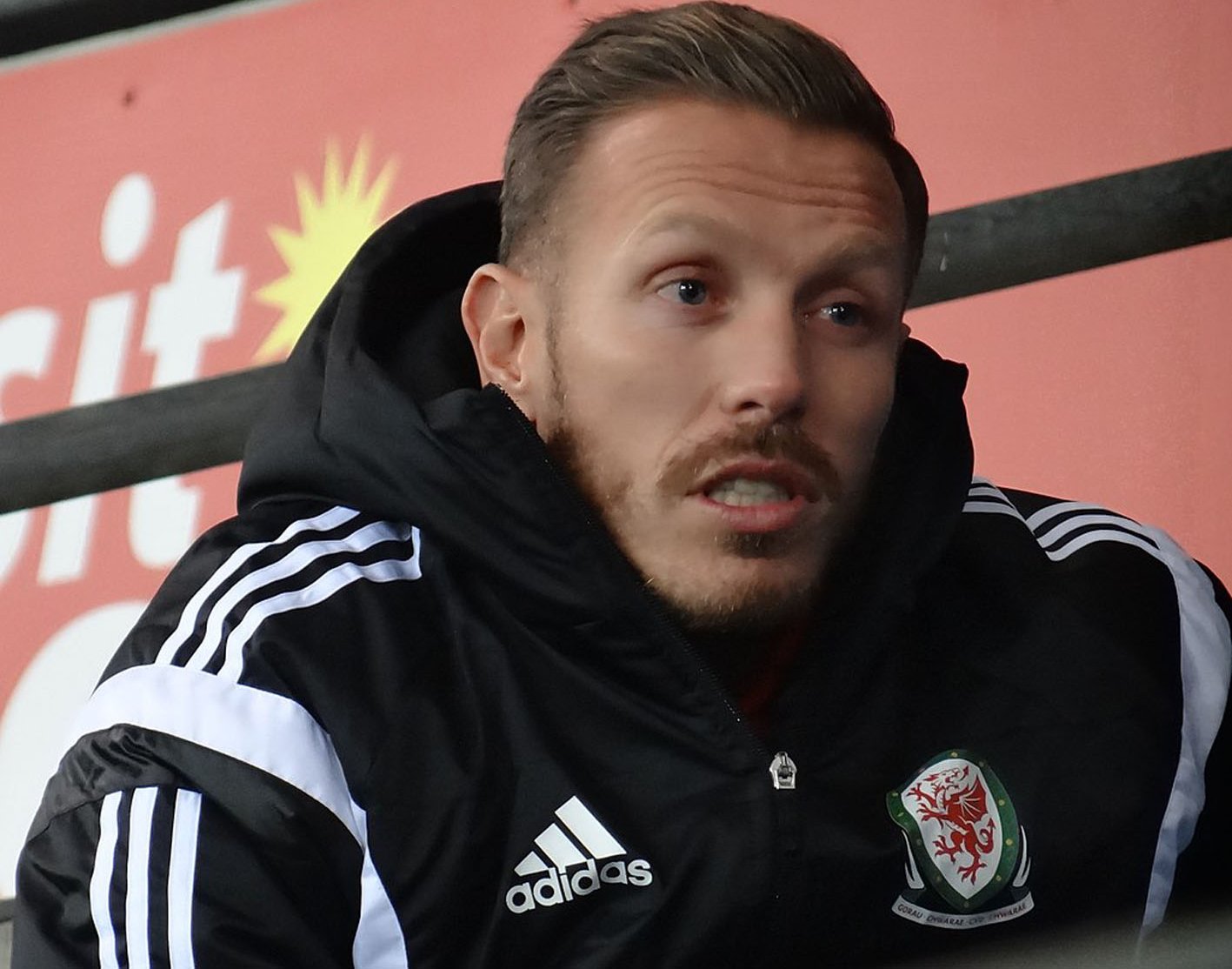 Craig Bellamy named new Cymru head coach | cambrian-news.co.uk