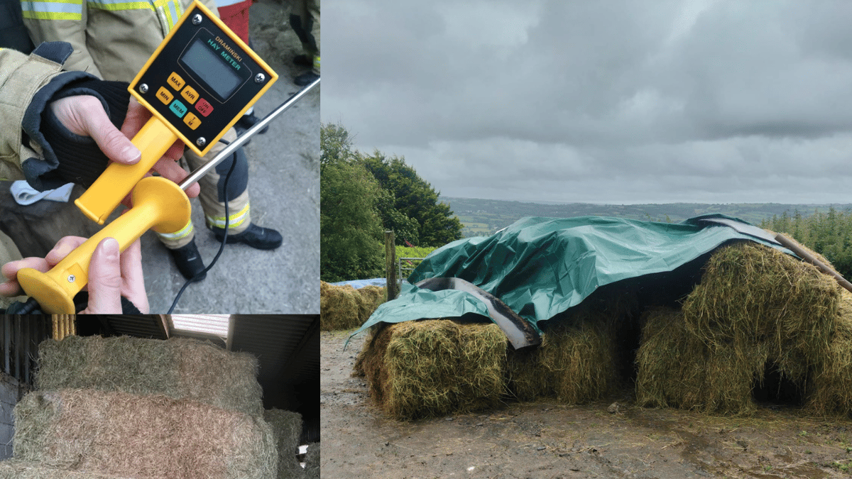 Firefighters issue bale advice after Talsarn callout | cambrian-news.co.uk