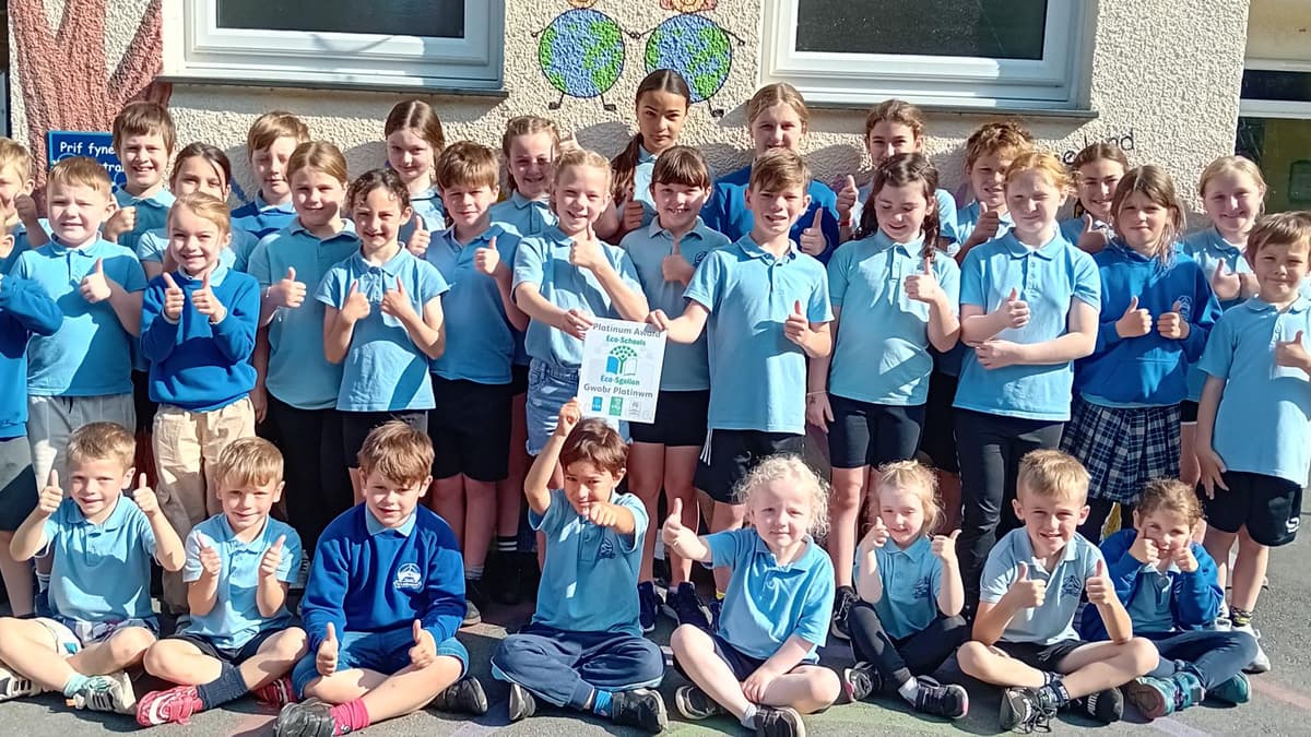 Llanfarian school pupils scoop top award for being green | cambrian ...