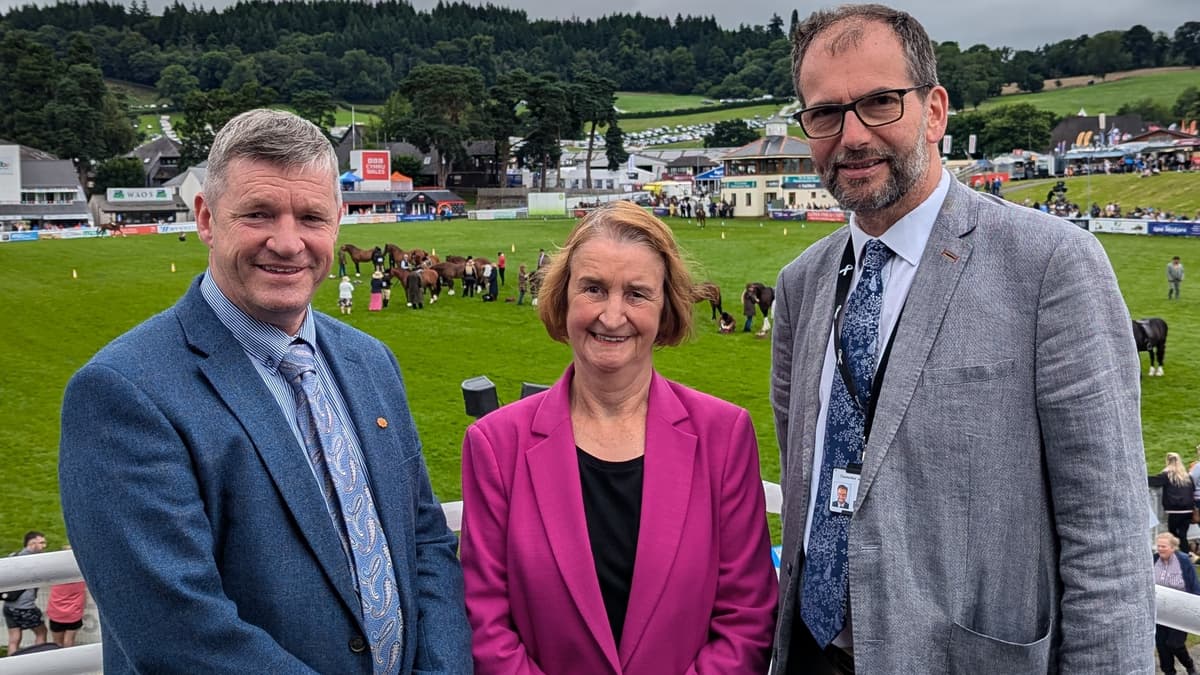 Hopes £110 million mid Wales growth deal will get off ground in 2025 ...