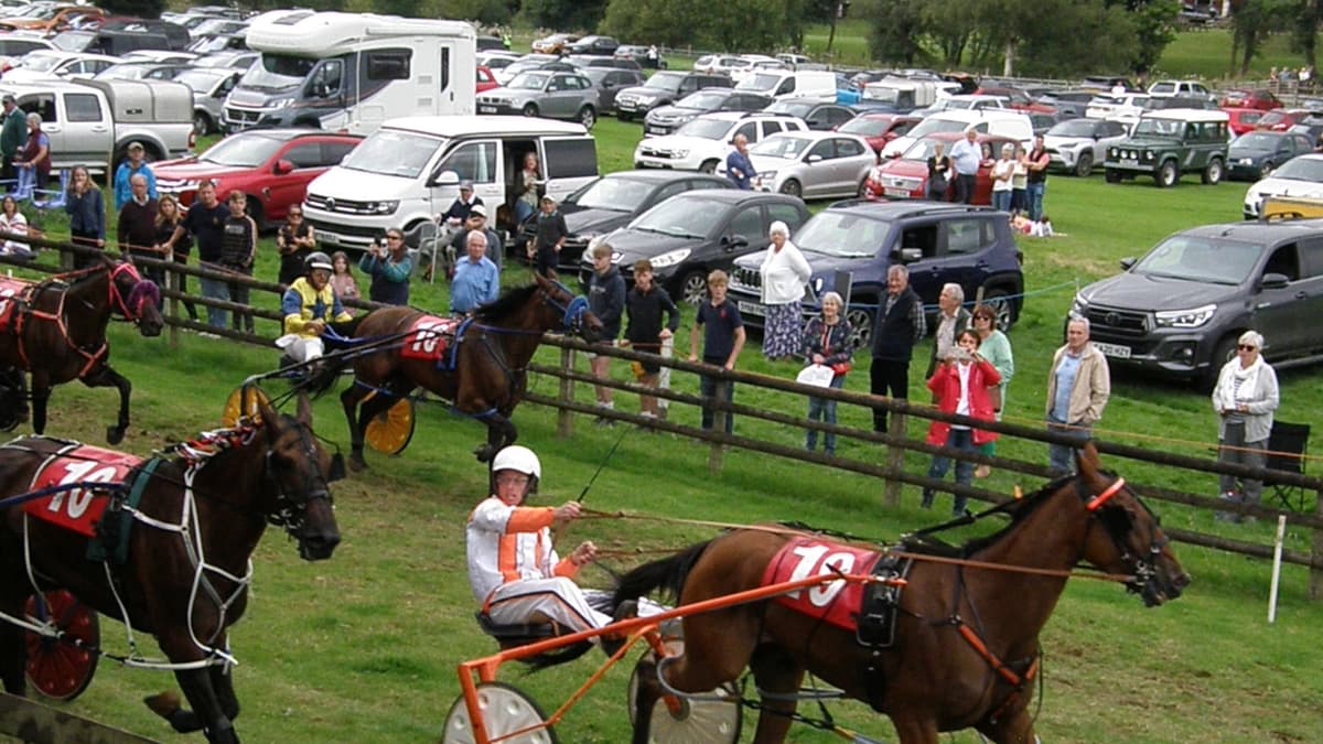 Exciting harness racing at the Wembley of Wales | cambrian-news.co.uk