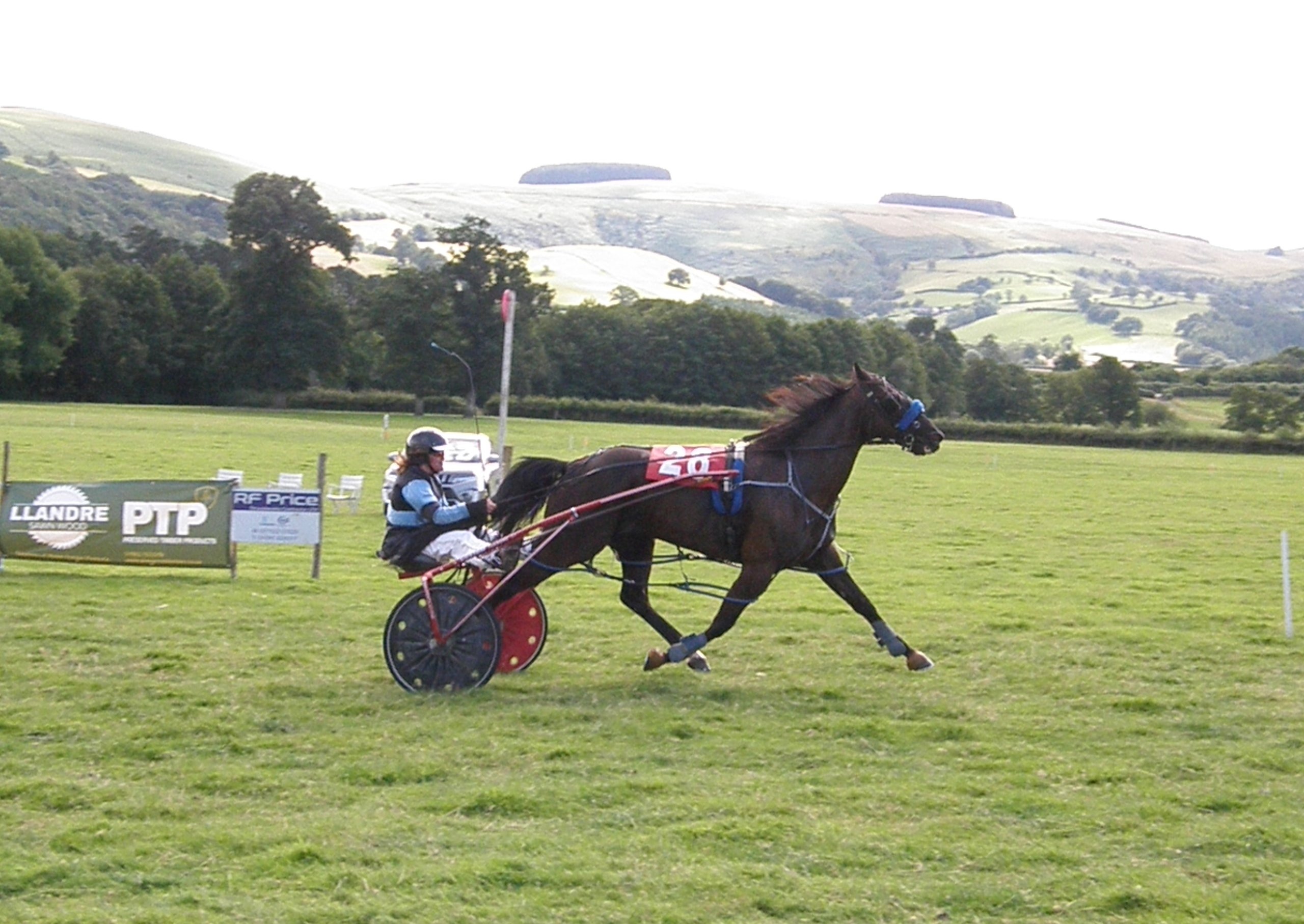 Dernol Yankee pips Llwyns Mercy to Grade A win at Newbridge | cambrian ...