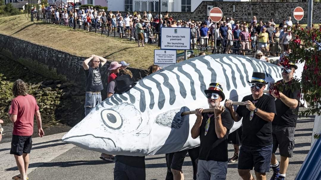 Aberaeron's famous Mackerel Fiesta returns this Saturday | cambrian ...