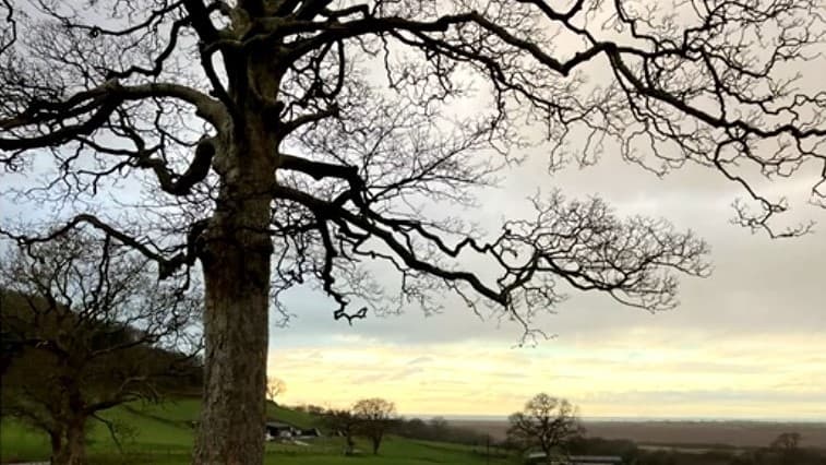 Holiday shepherd huts plans for Talybont farm given go ahead | cambrian ...