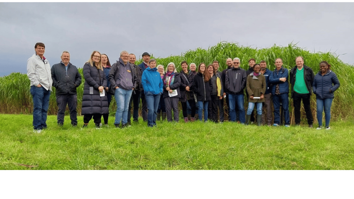 World's biomass experts gather in Aberystwyth | cambrian-news.co.uk