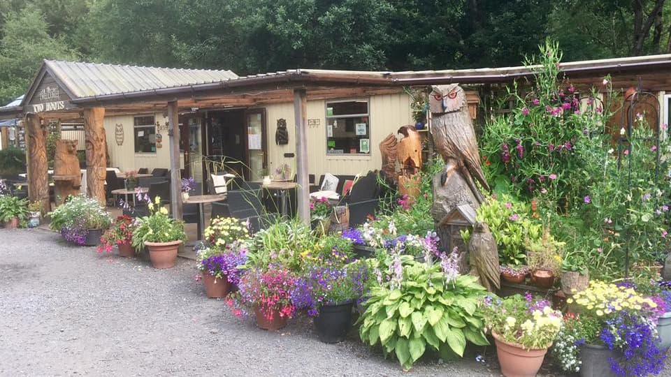 Two Hoots team announce new venture | cambrian-news.co.uk