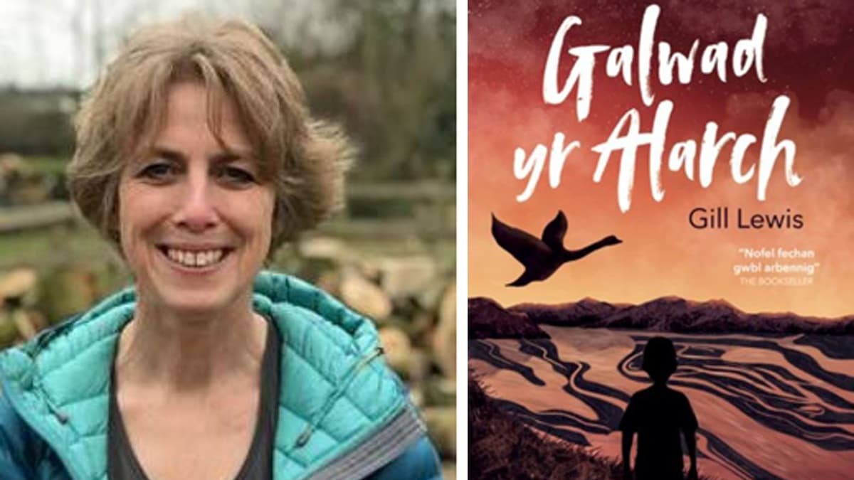 Gweithgareddau i ddarllenwyr Galwad yr Alarch | cambrian-news.co.uk