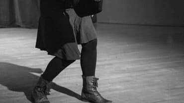 Merlin and magical animals | cambrian-news.co.uk