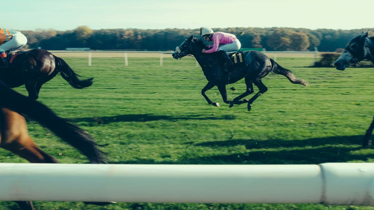 Ffos Las amongst the top 10 UK racecourses with the biggest increases ...