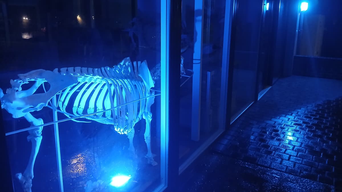 Aberystwyth vet school lit up blue for World Antimicrobial Resistance ...