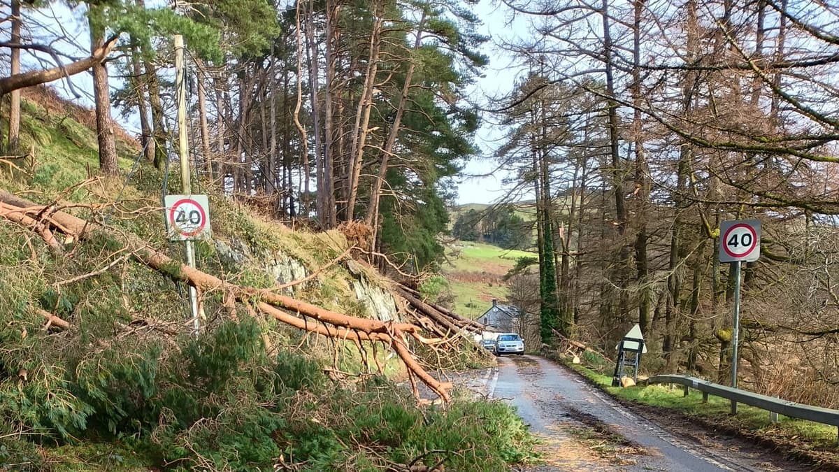 A44 and A487 road closure update | cambrian-news.co.uk