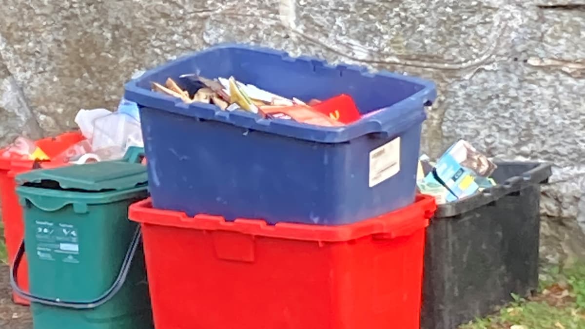 Powys aims to save £52,500 through 'route optimisation' of bin ...