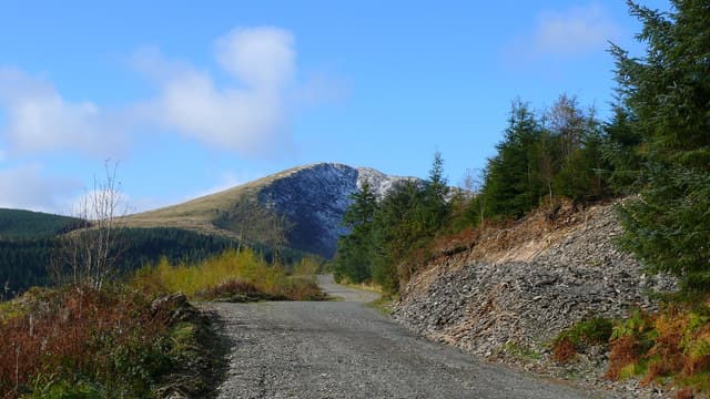 Machynlleth man fined for dumping waste in Dyfi Forest | cambrian-news ...