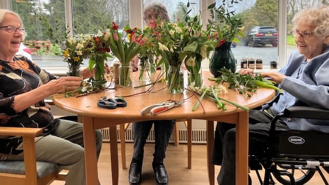 Mach project to reduce carbon footprint of flower imports by growing ...