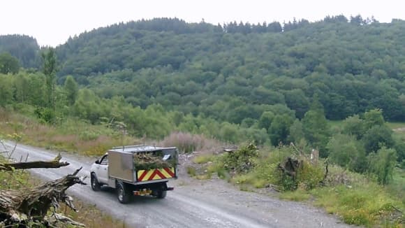 Machynlleth man caught dumping waste in Dyfi Forest said he was there ...