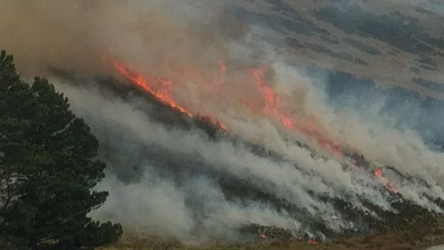 Alarm continues over grass fires as mid-Wales Fire Service receives ...