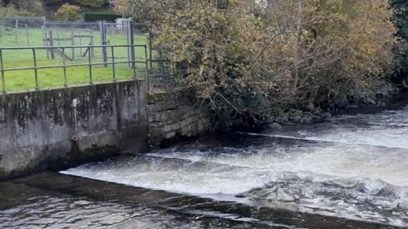 Bontnewydd weir project: Improvements for fish migration announced ...