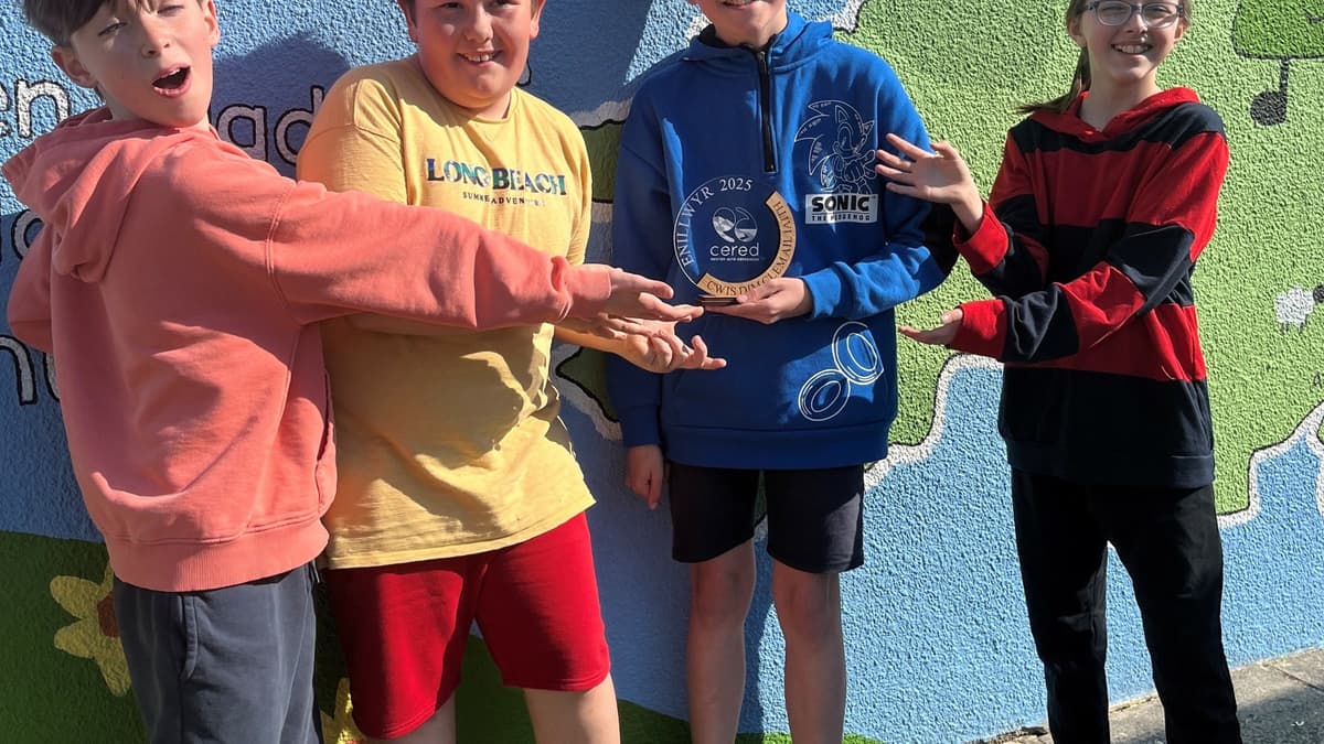 Success for Ysgol Bro Teifi and Ysgol Llwyn yr Eos in Cwis Dim Clem ...