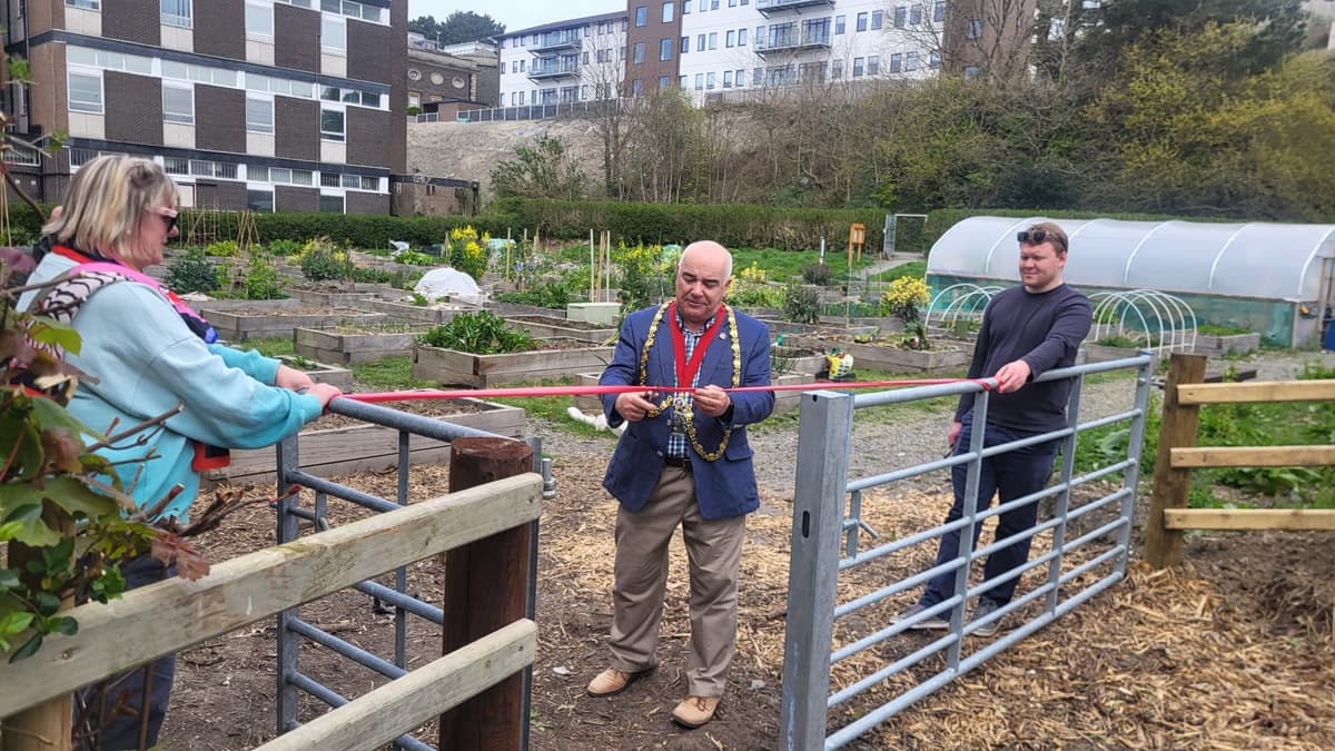 Mayor officially opens new community growing space in Aberystwyth ...