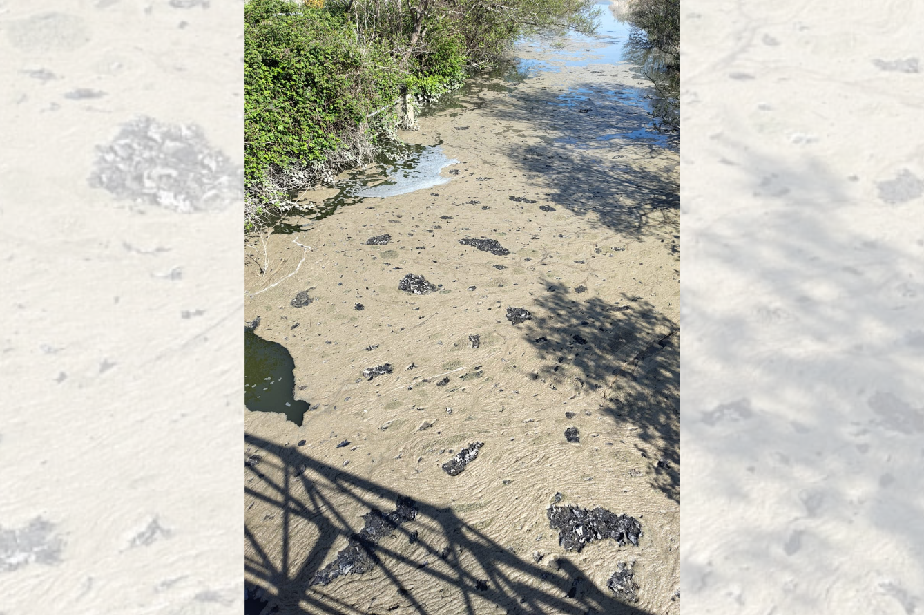 Brown scum spotted on river Leri NOT sewage says Natural Resources ...